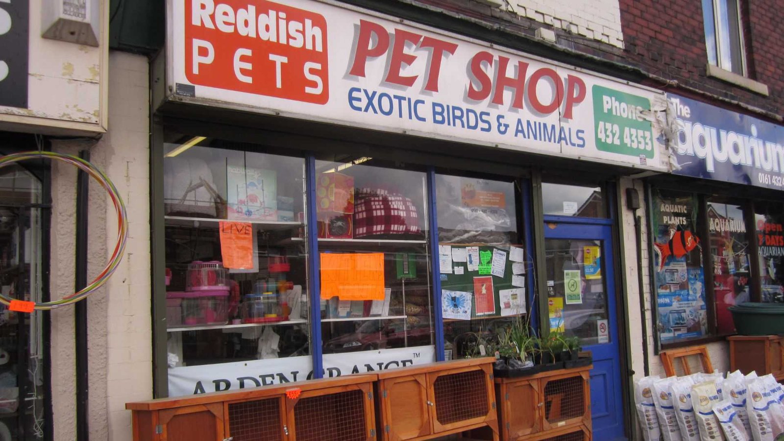Digital Marketing Strategy for Pet Shops - Arihant Global